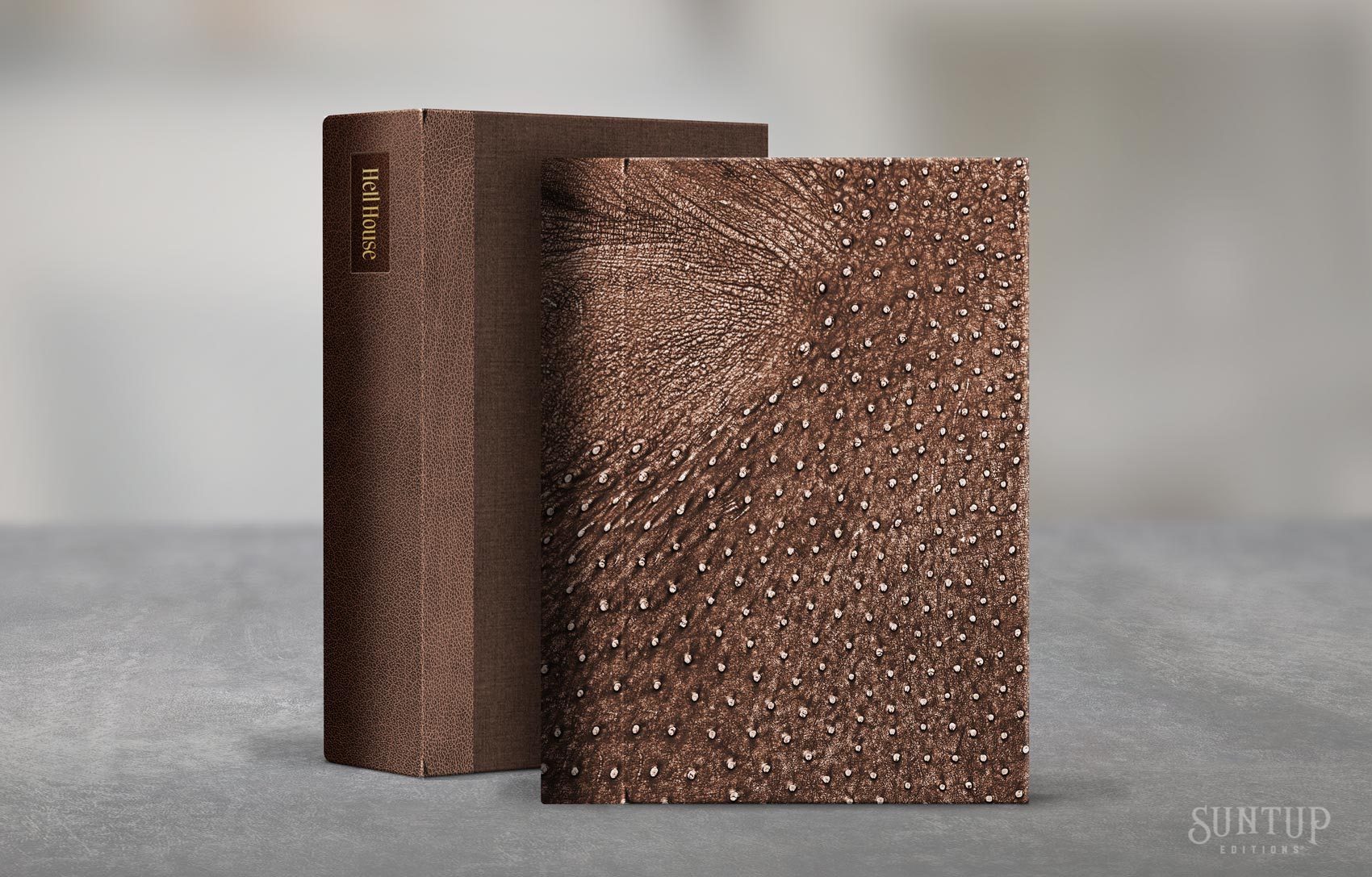 Hell House by Richard Matheson - Lettered Edition – Suntup Editions